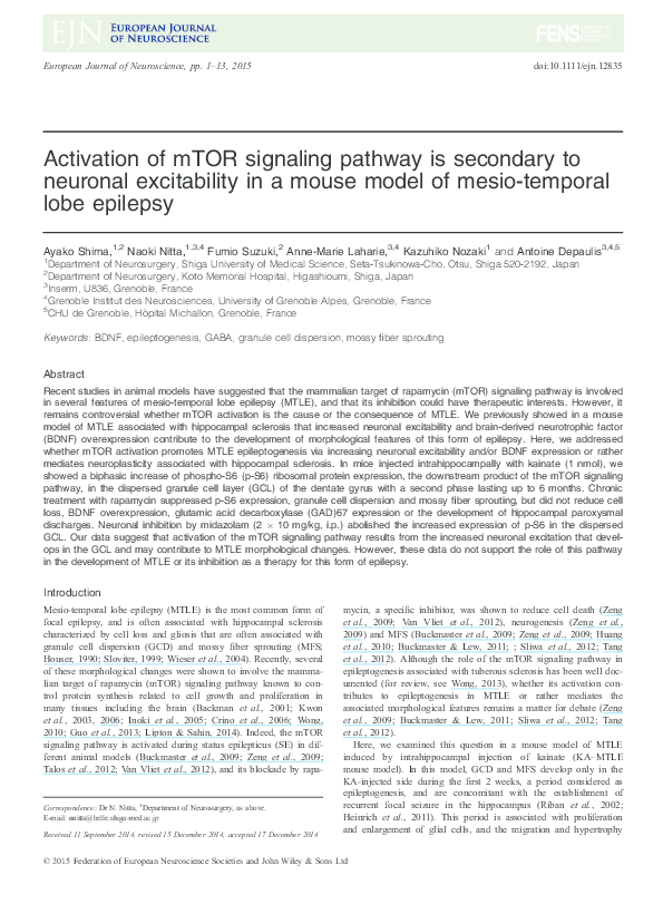 (PDF) Activation of mTOR signaling pathway is secondary to neuronal ...
