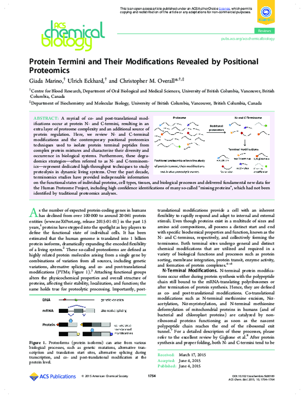 (PDF) Protein termini and their modifications revealed by positional ...