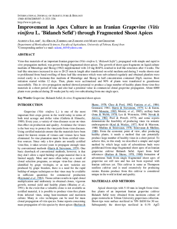 (PDF) Improvement in Apex Culture in an Iranian Grapevine (Vitis vinifera L. 'Bidaneh Sefid ...