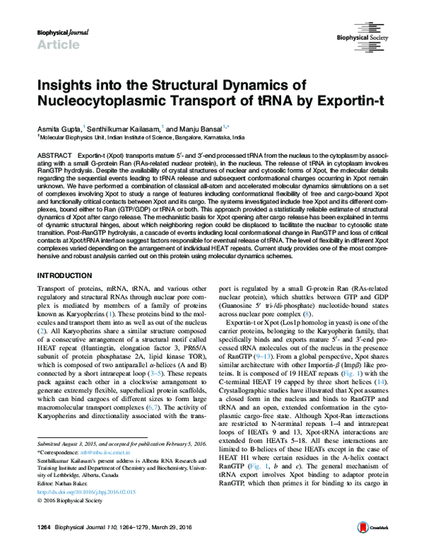 (PDF) Insights into the Structural Dynamics of Nucleocytoplasmic ...