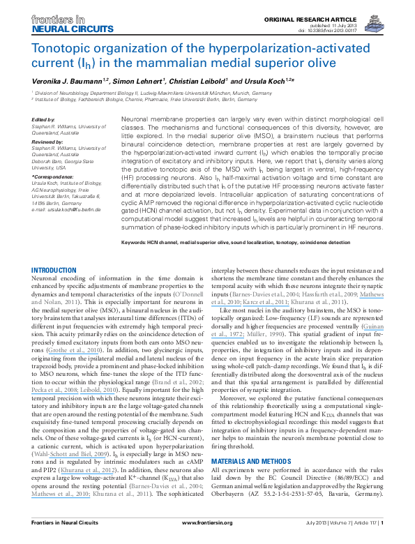 Pdf Tonotopic Organization Of The Hyperpolarization Activated Current Ih In The Mammalian