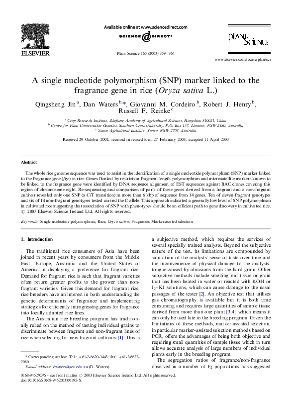 (PDF) A single nucleotide polymorphism (SNP) marker linked to the fragrance gene in rice ( Oryza ...