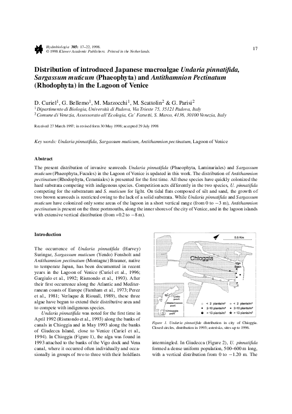 (PDF) Distribution of introduced Japanese macroalgae Undaria ...