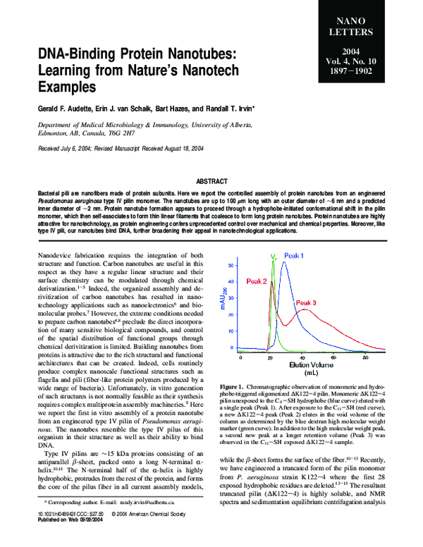 (PDF) DNA-Binding Protein Nanotubes: Learning from Nature's Nanotech ...