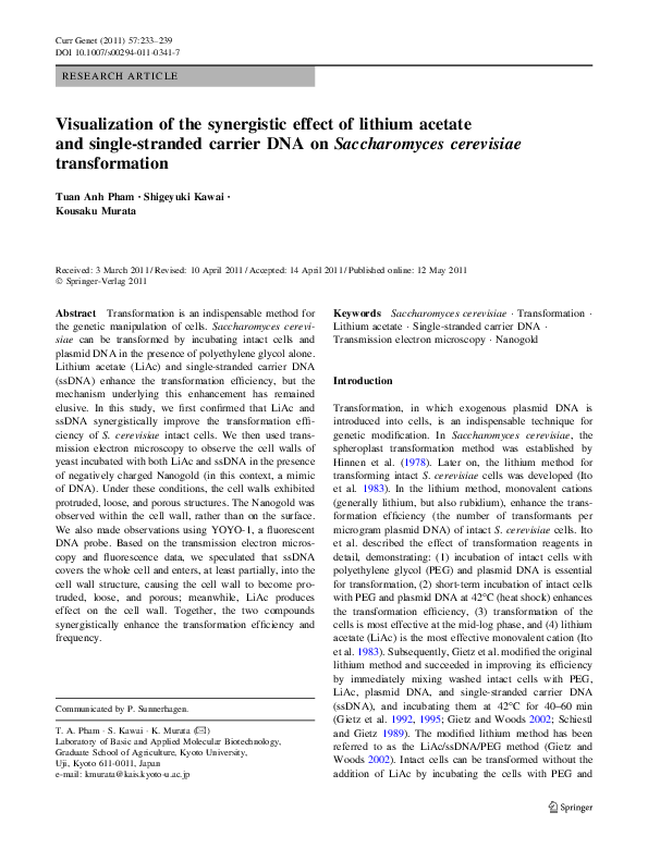 (PDF) Visualization of the synergistic effect of lithium acetate and single-stranded carrier DNA ...