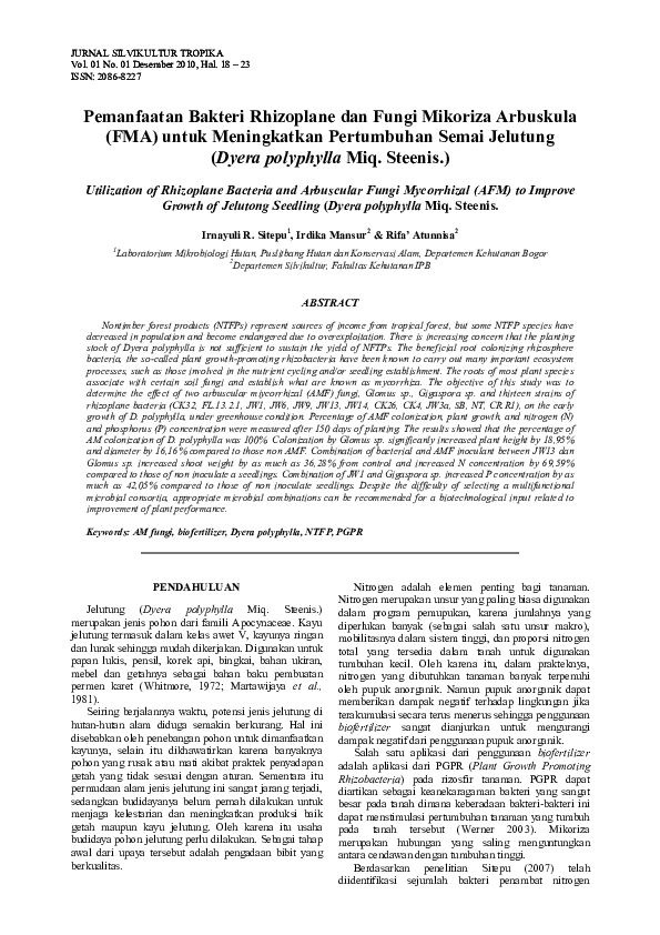 (PDF) Utilization of Rhizoplane Bacteria and Arbuscular Fungi ...