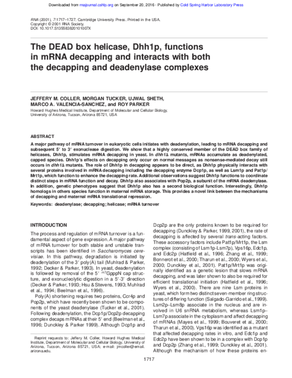(PDF) The DEAD box helicase, Dhh1p, functions in mRNA decapping and ...