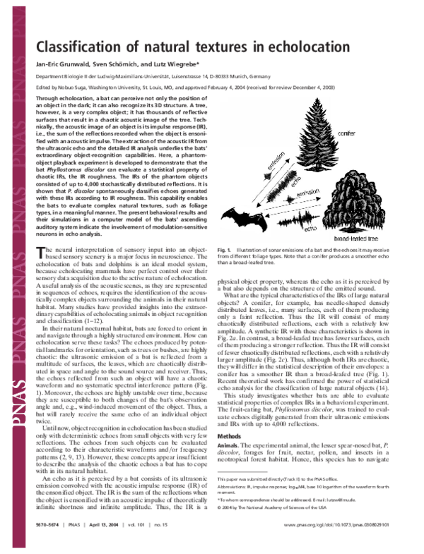 (PDF) Classification of natural textures in echolocation