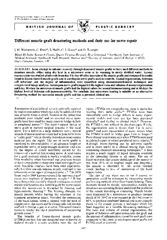(PDF) Different muscle graft denaturing methods and their use for nerve ...