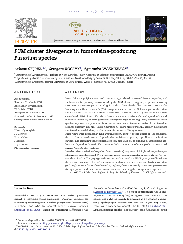 (PDF) FUM cluster divergence in fumonisins-producing Fusarium species