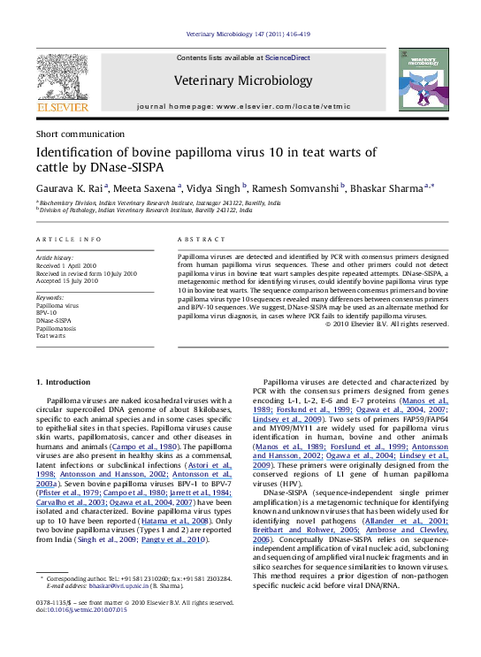 (PDF) Identification of bovine papilloma virus 10 in teat warts of ...