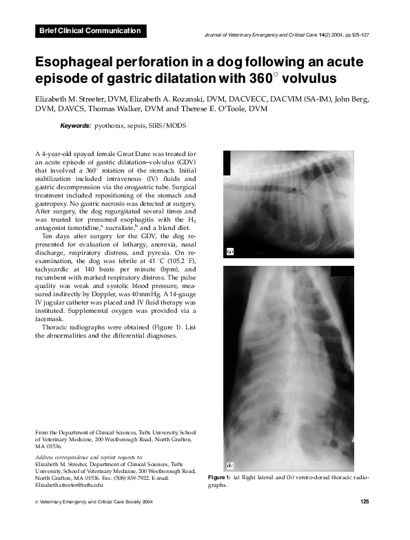 (PDF) Esophageal perforation in a dog following an acute episode of ...