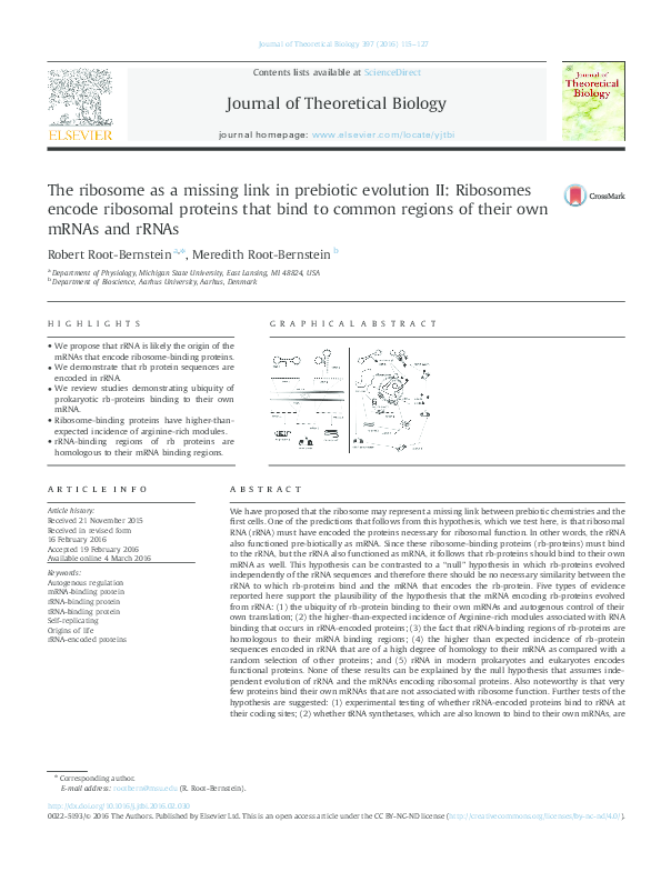 (PDF) The ribosome as a missing link in prebiotic evolution II ...