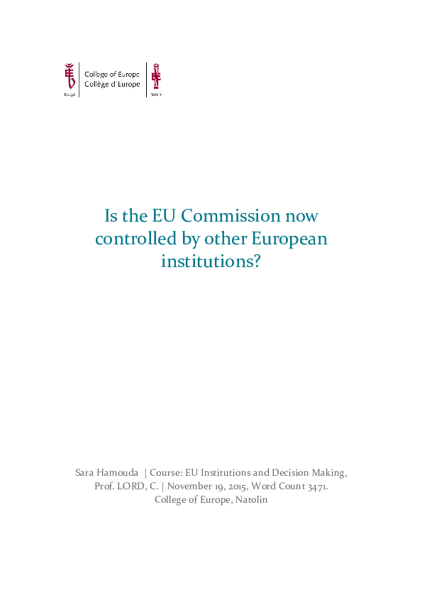 The EU Commission.pdf