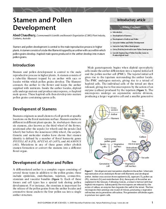 (PDF) Stamen and Pollen Development