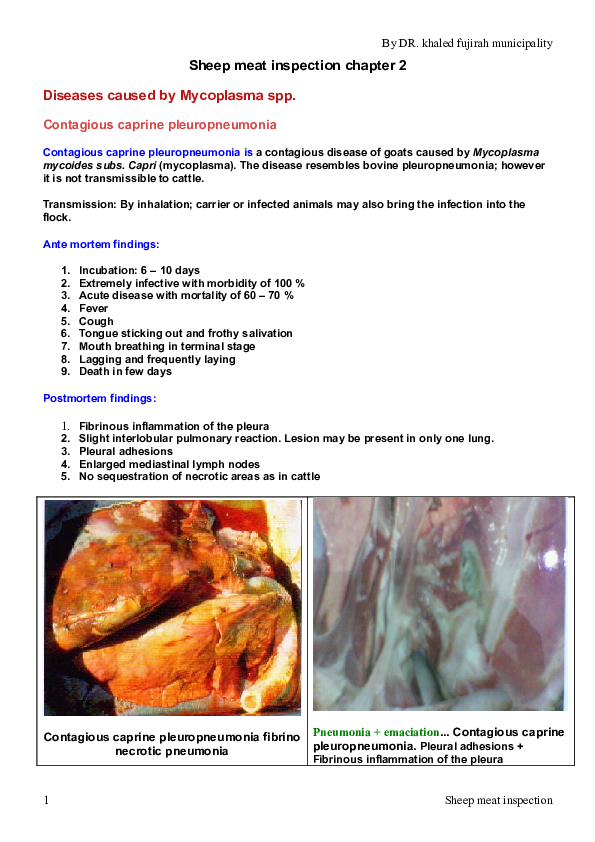 (PDF) Sheep meat inspection chapter 2