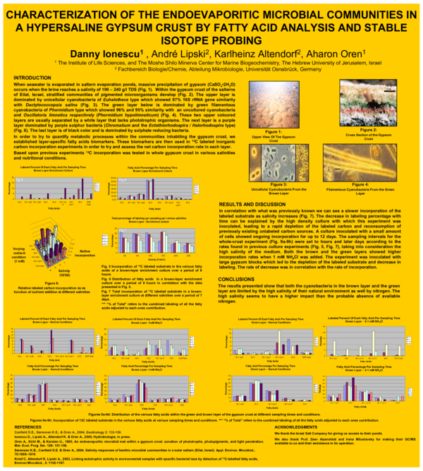 (PDF) Characterization of the endoevaporitic microbial communities in a hypersaline gypsum crust ...