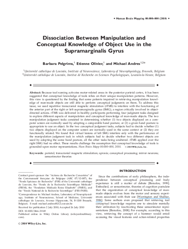 (PDF) Dissociation between manipulation and conceptual knowledge of object use in the ...