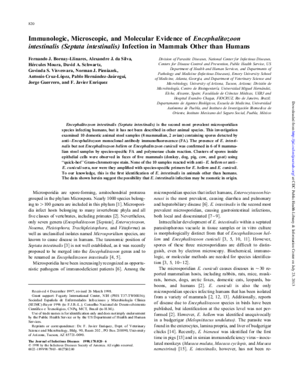 (PDF) Immunologic, Microscopic, and Molecular Evidence of ...