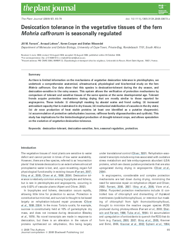 (PDF) Desiccation tolerance in the vegetative tissues of the fern ...