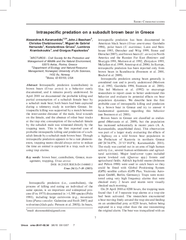 (PDF) Intraspecific predation on a subadult brown bear in Greece