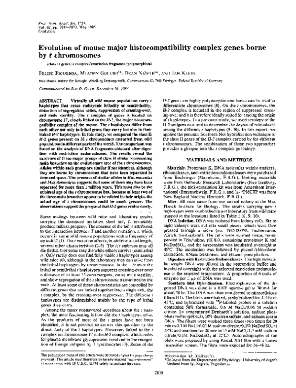 (PDF) Evolution of Mouse Major Histocompatibility Complex Genes Borne ...