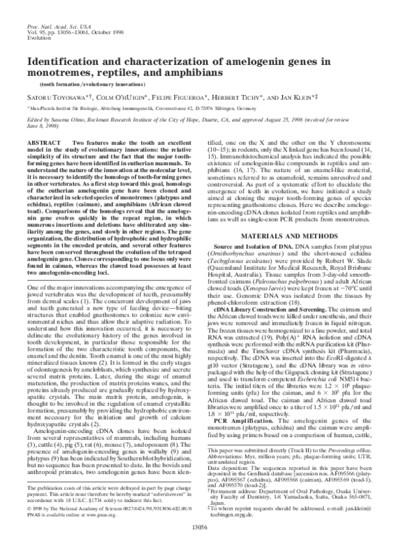 (PDF) Identification and Characterization of Amelogenin Genes in ...