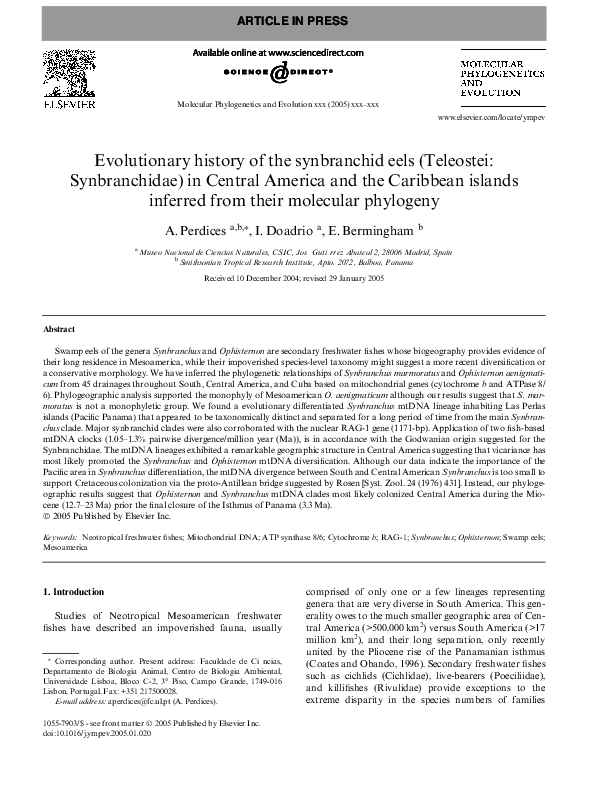 (PDF) Evolutionary history of the synbranchid eels (Teleostei ...