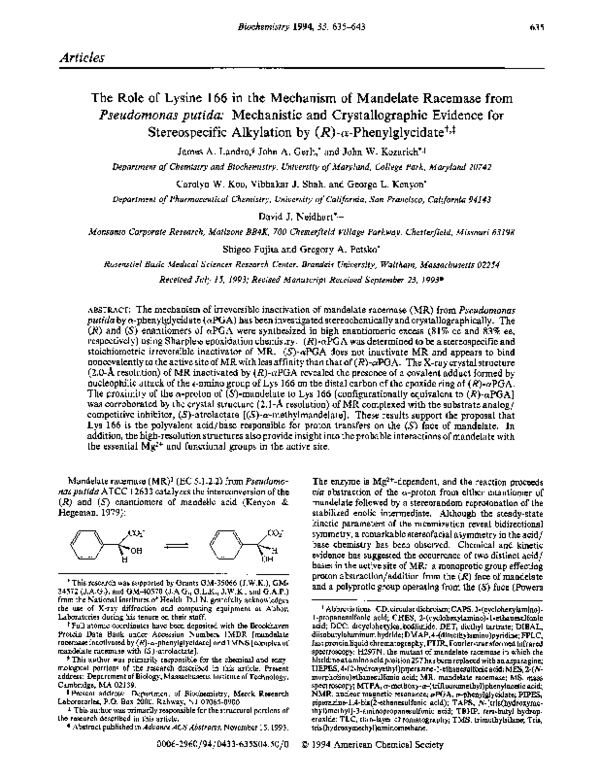 (PDF) The role of lysine 166 in the mechanism of mandelate racemase ...