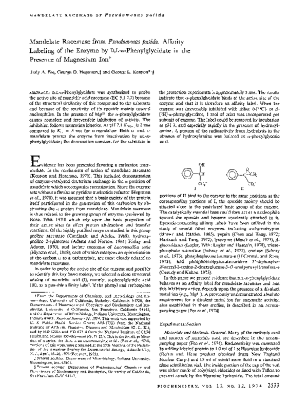 (PDF) Mandelate racemase from Pseudomonas putida. Affinity labeling of ...