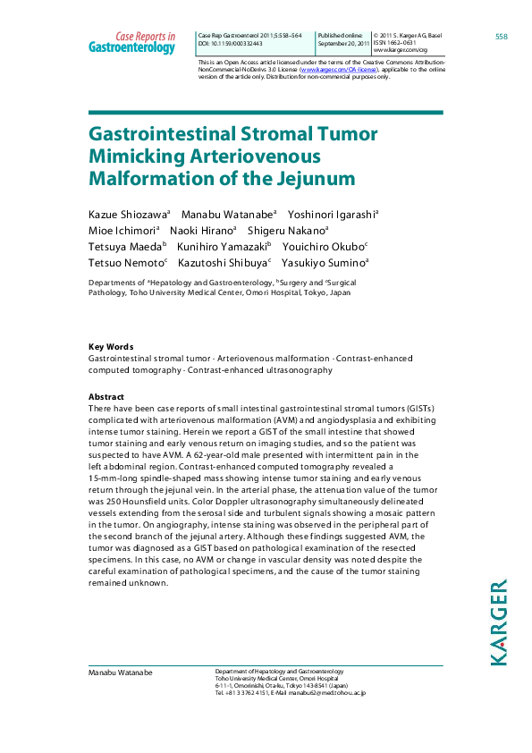 (PDF) Gastrointestinal Stromal Tumor Mimicking Arteriovenous ...