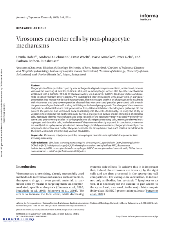 (PDF) Virosomes can enter cells by non-phagocytic mechanisms