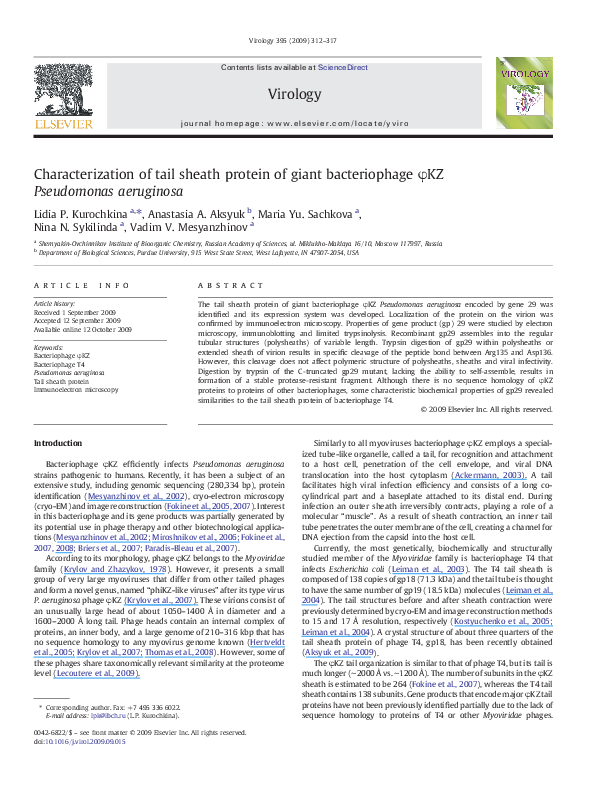 (PDF) Characterization of tail sheath protein of giant bacteriophage ...