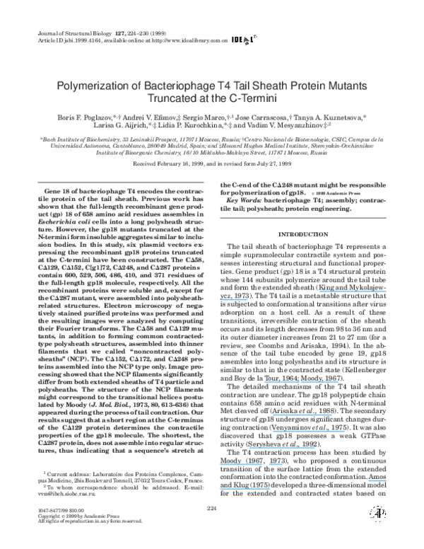 (PDF) Polymerization of Bacteriophage T4 Tail Sheath Protein Mutants ...