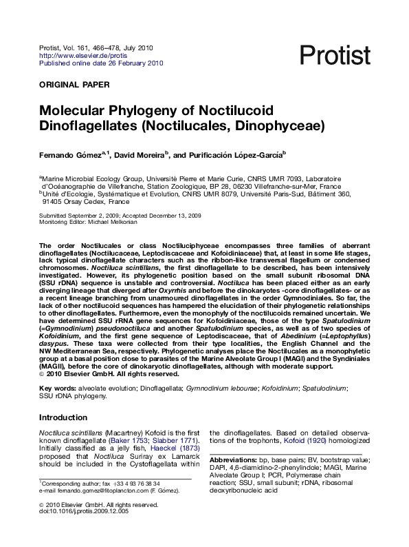 Molecular Phylogeny of Noctilucoid Dinoflagellates (Noctilucales ...