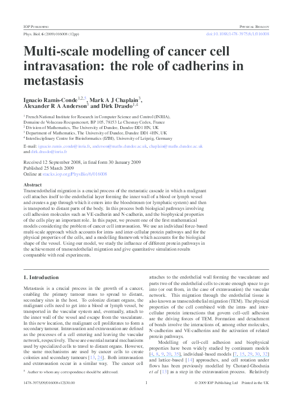 (PDF) Multi-scale modelling of cancer cell intravasation: the role of ...