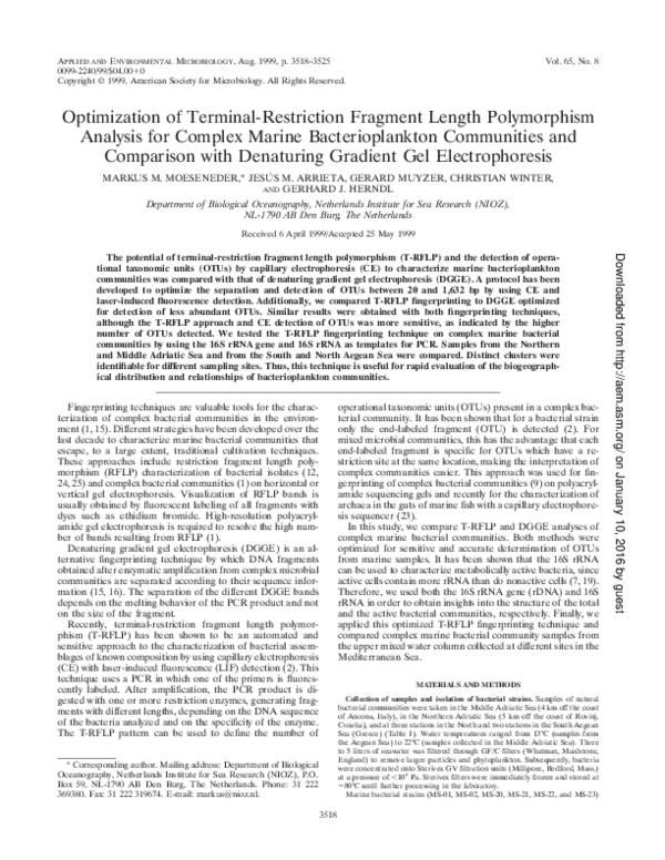 Pdf Optimization Of Terminal Restriction Fragment Length Polymorphism