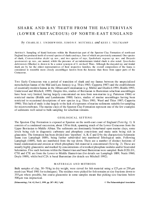 (PDF) Shark and ray teeth from the Hauterivian (Lower Cretaceous) of ...