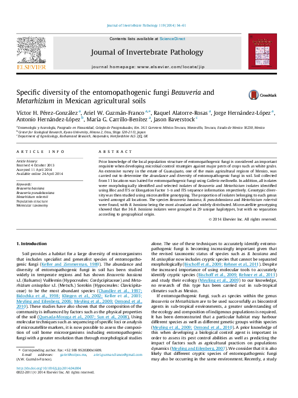 (PDF) Specific diversity of the entomopathogenic fungi Beauveria and Metarhizium in Mexican ...