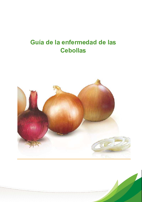 (PDF) Guía de la enfermedad de las Cebollas