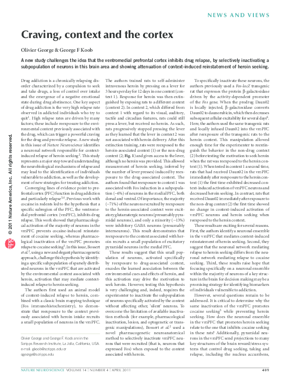 (PDF) Craving, context and the cortex