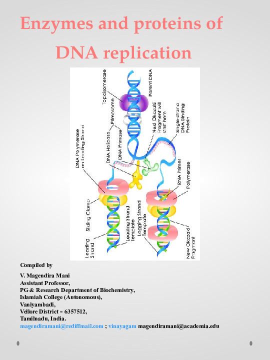 (PPT) Enzymes of DNA Replication