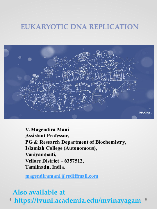 (PPT) Eukaryotic DNA replication
