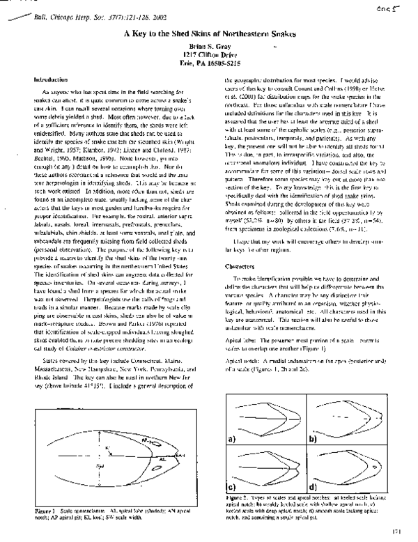(PDF) A Key to the Shed Skins of Northeastern Snakes