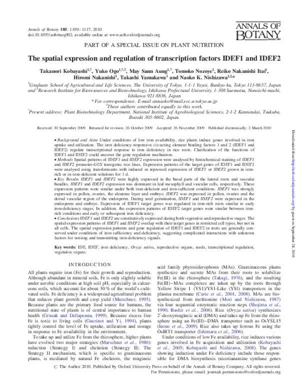 (PDF) The spatial expression and regulation of transcription factors ...