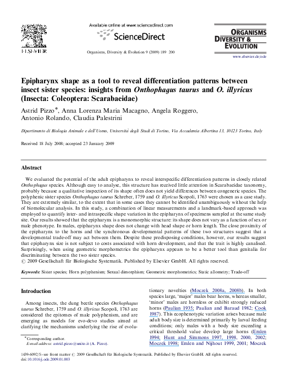 (PDF) Epipharynx shape as a tool to reveal differentiation patterns ...