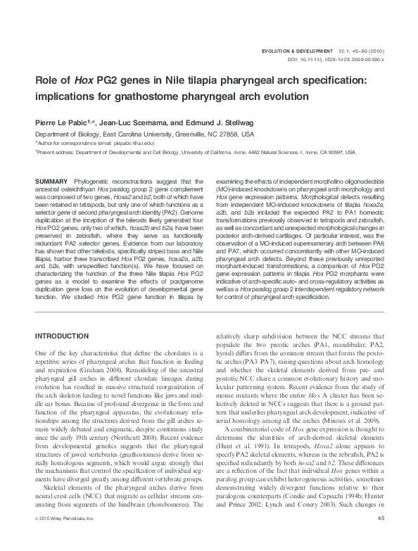 (PDF) Role of Hox PG2 genes in Nile tilapia pharyngeal arch specification: implications for ...