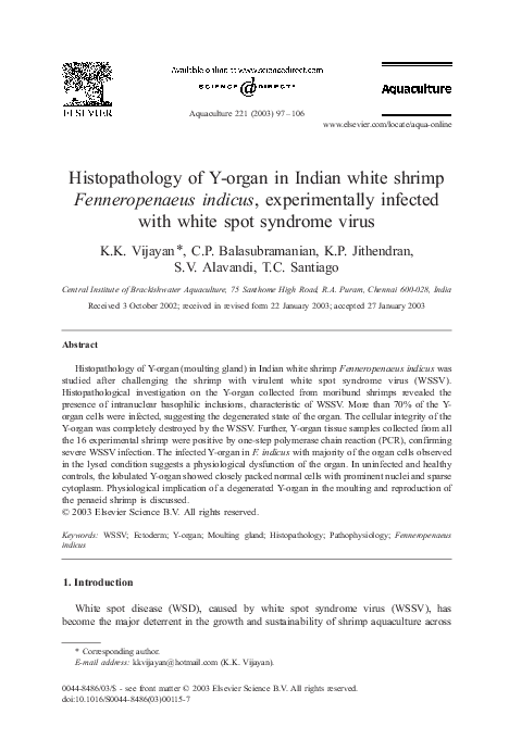 (PDF) Histopathology of Y-organ in Indian white shrimp Fenneropenaeus ...