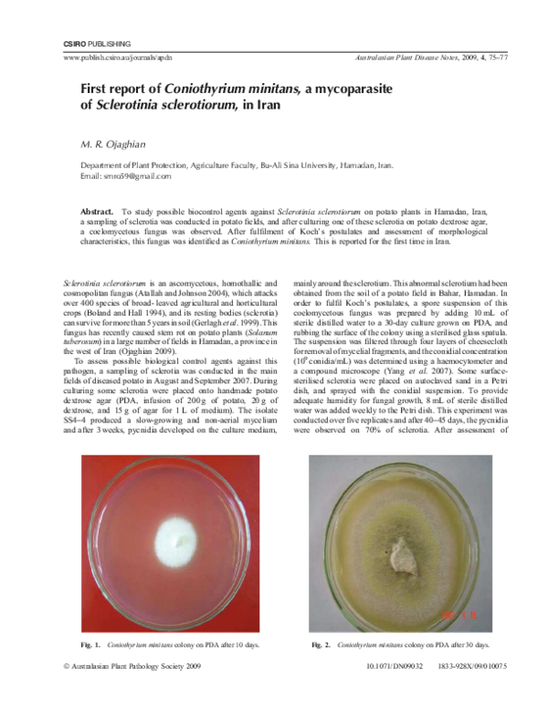 First report of Coniothyrium minitans , a mycoparasite of Sclerotinia ...