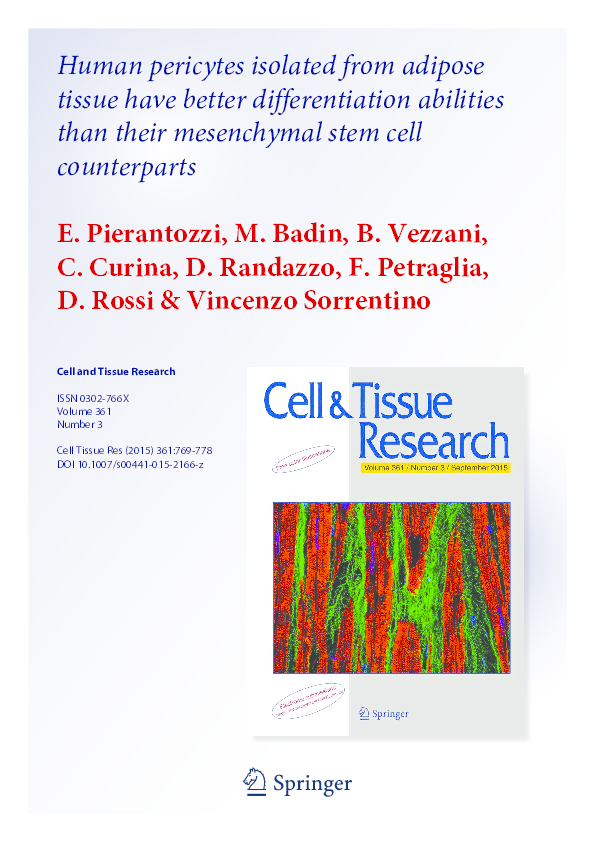(PDF) Human pericytes isolated from adipose tissue have better ...